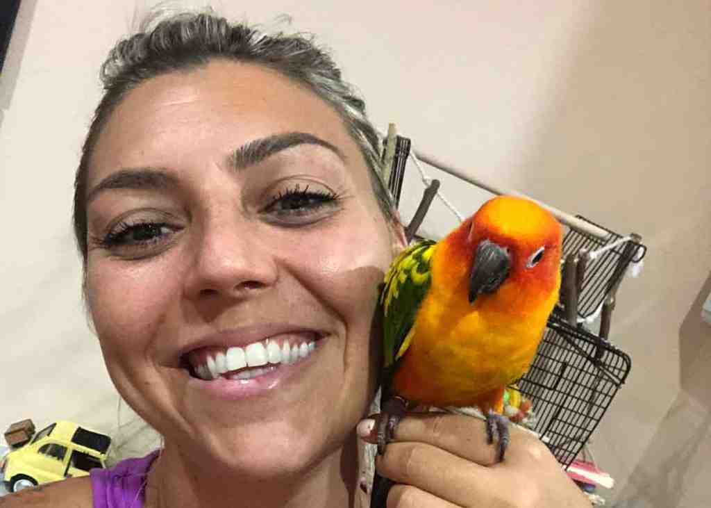 10 Things Only Bird Owners Experience | Poodles and Parrots