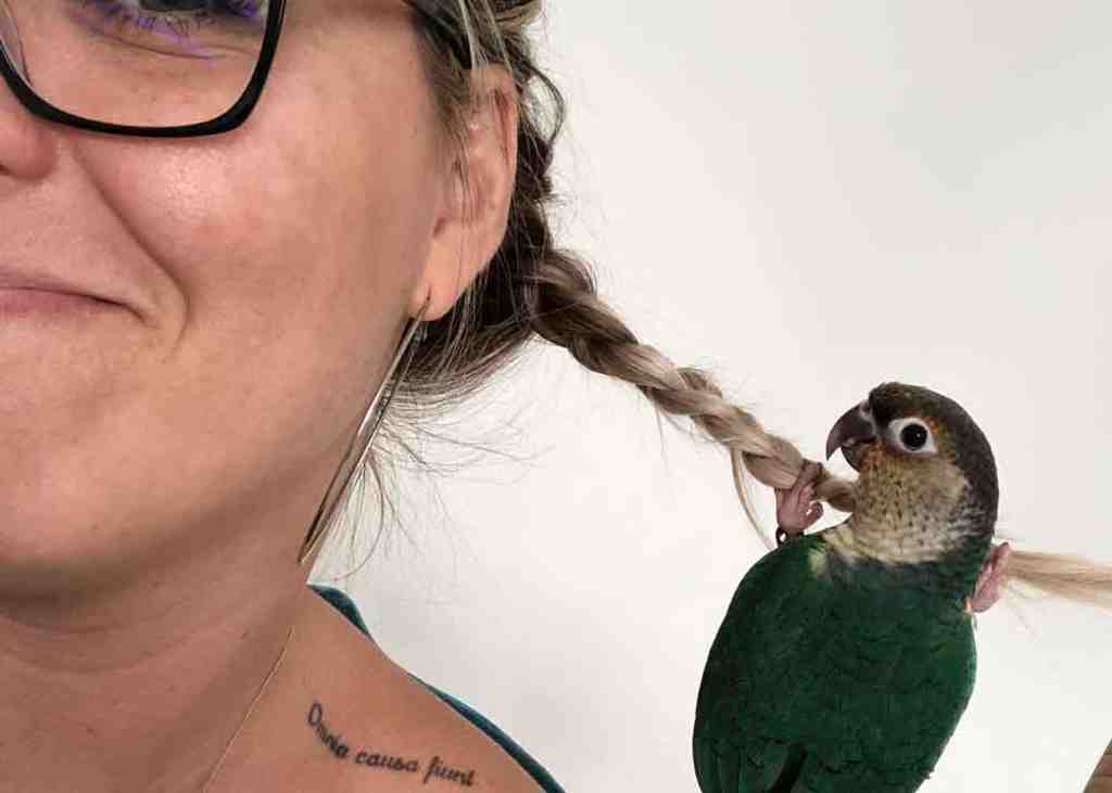 How To Bond With Your Bird | Poodles and Parrots