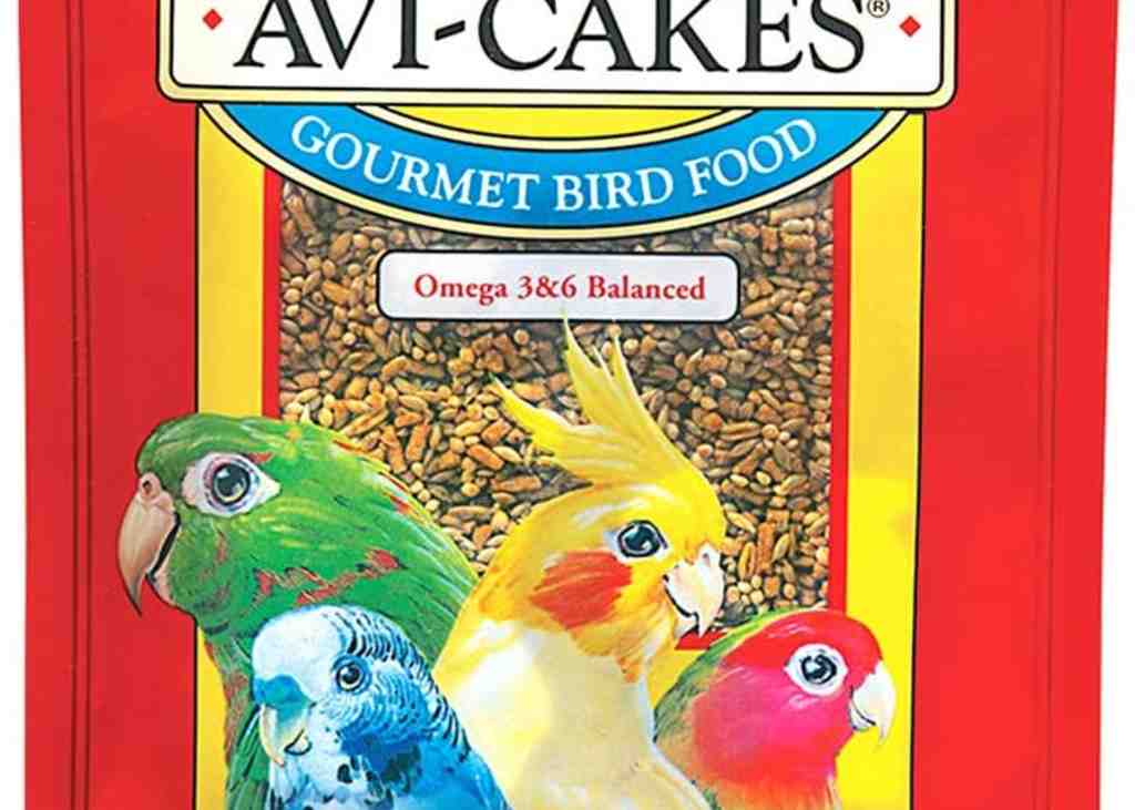 Best Healthy Treats for Your Parrot - With an Amazon Shopping list ...